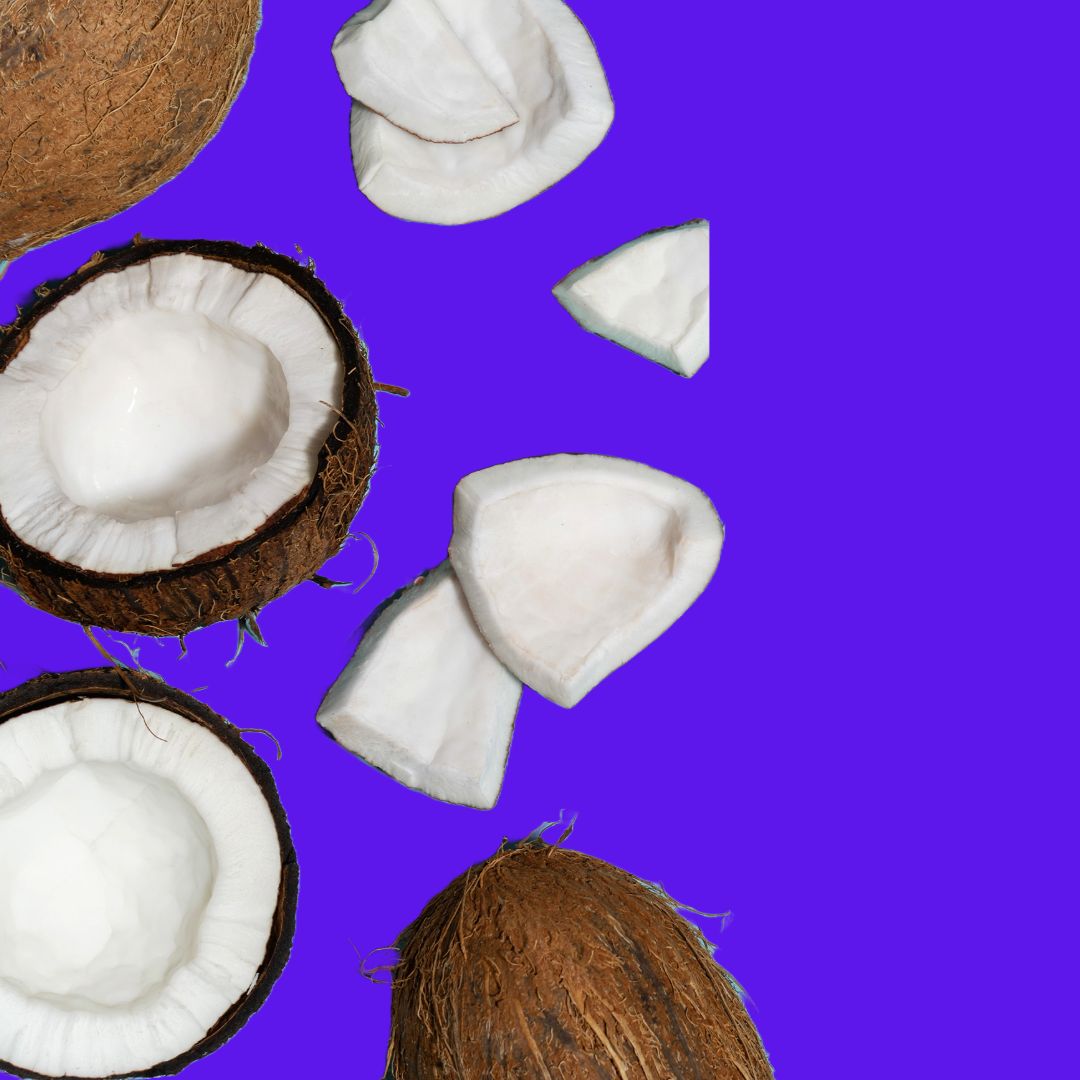 coco concepts - connecting your brand to costa rica and the world